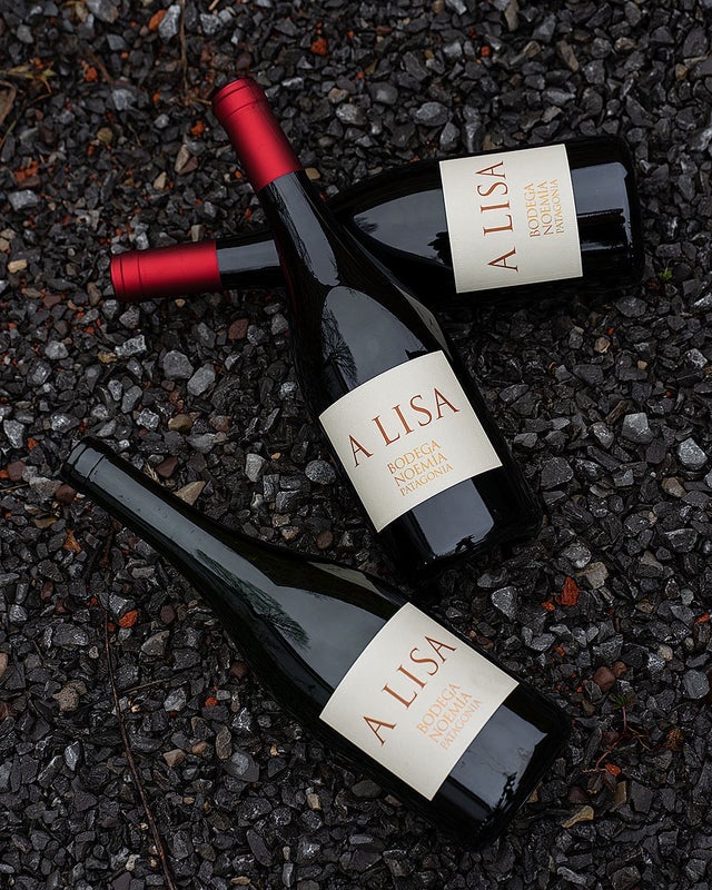 Paradise Wine Buffalo